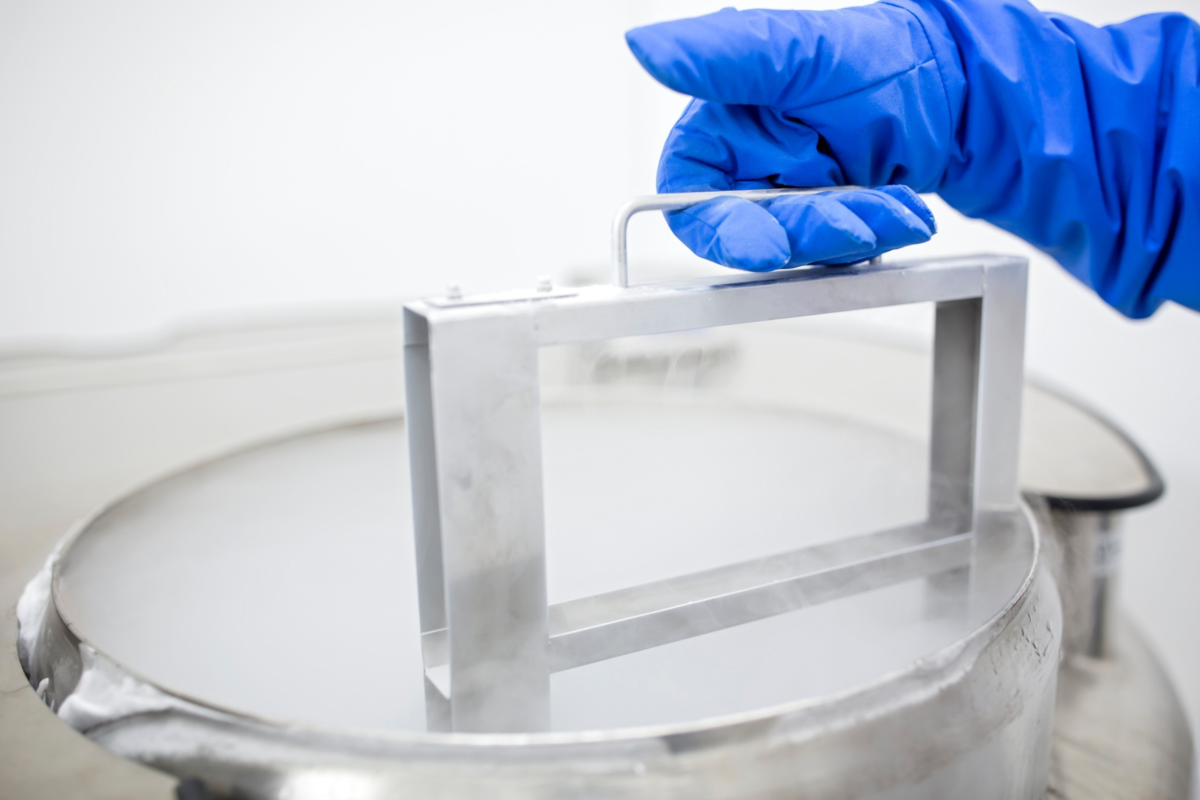 What to Look for in a Cryogenic Hose: Materials, Testing, and ...